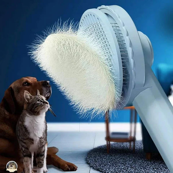 Fur Removal Brush – Homelux Kenya